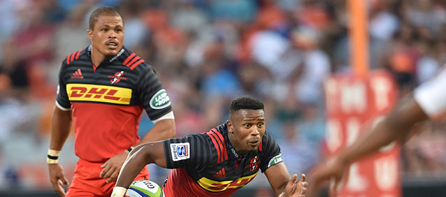 Six DHL Stormers in Bok squad | The Official Website for the DHL Stormers