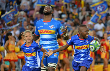 Eight DHL Stormers in Bok World Cup squad | The Official Website for the DHL Stormers
