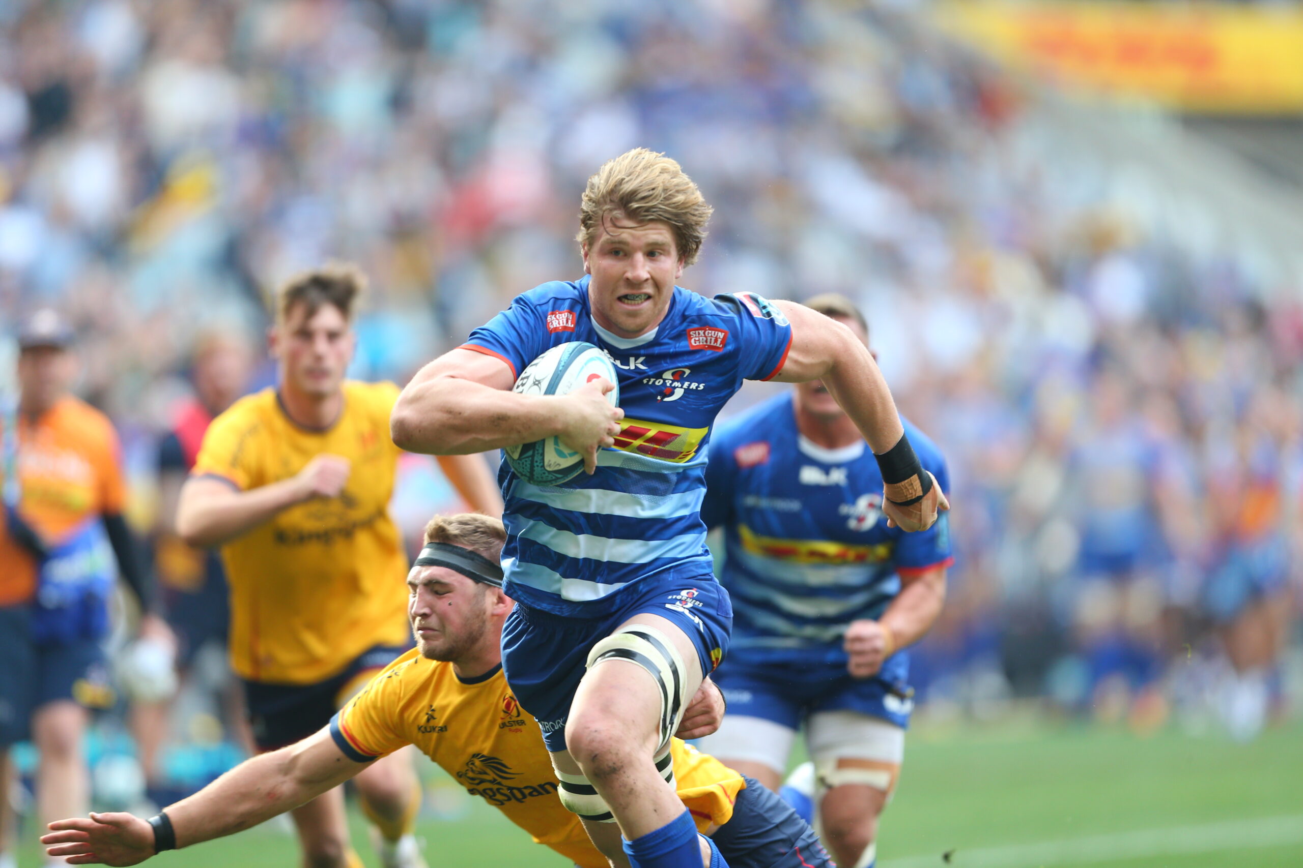 Nine DHL Stormers in Bok squad | The Official Website for the DHL Stormers