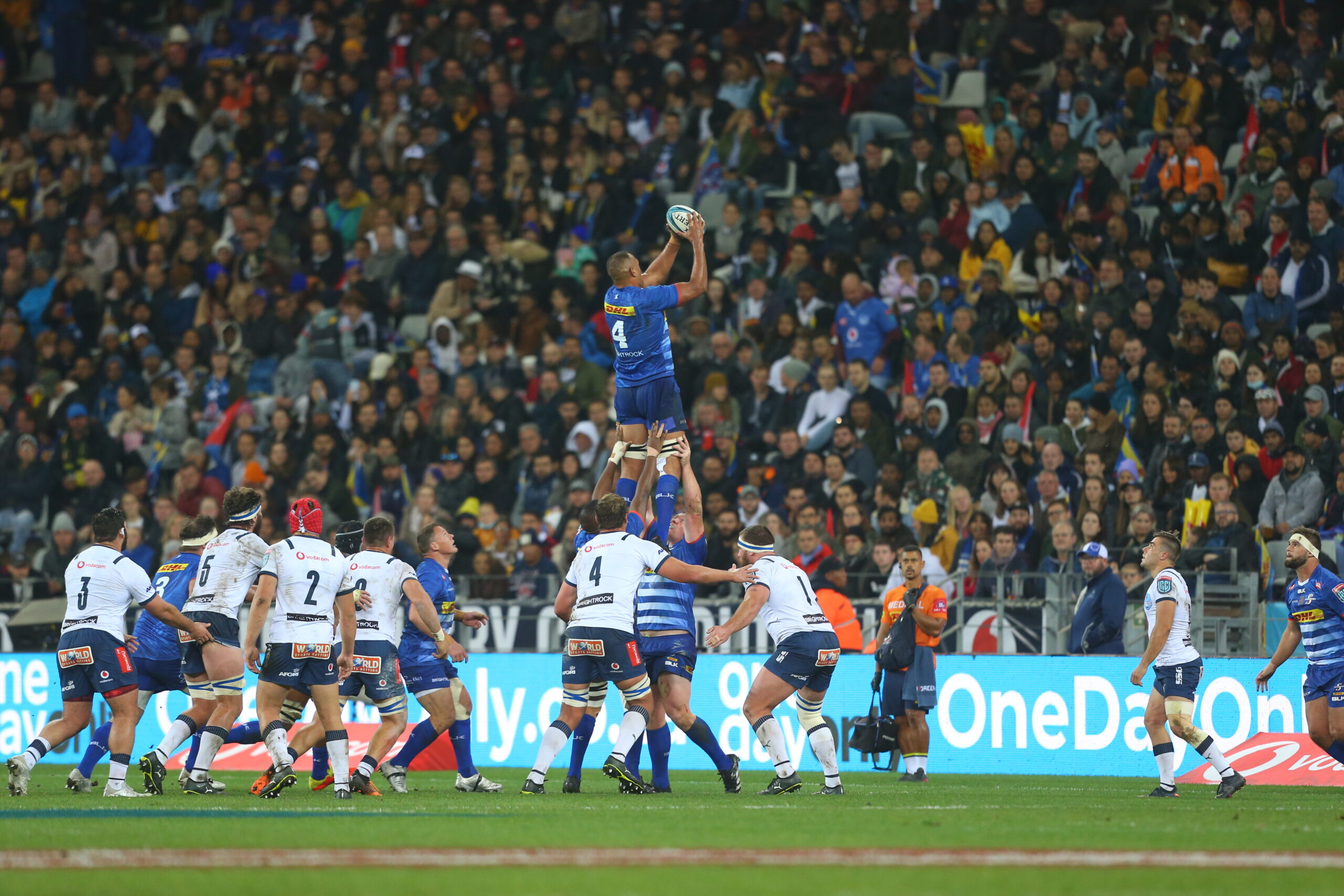 Moerat in line for Springbok debut | The Official Website for the DHL ...