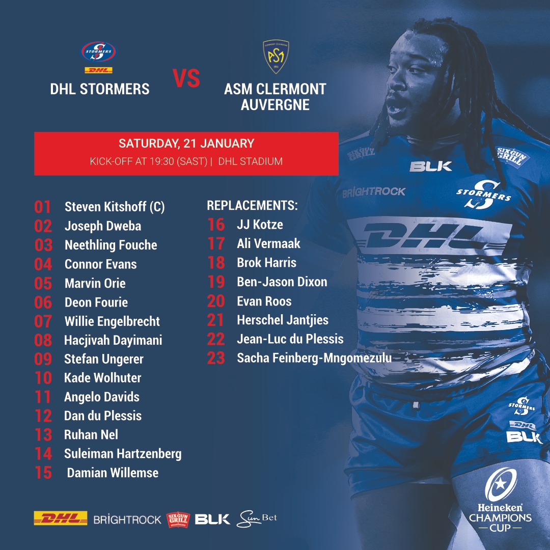New halfbacks for DHL Stormers | The Official Website for the DHL Stormers