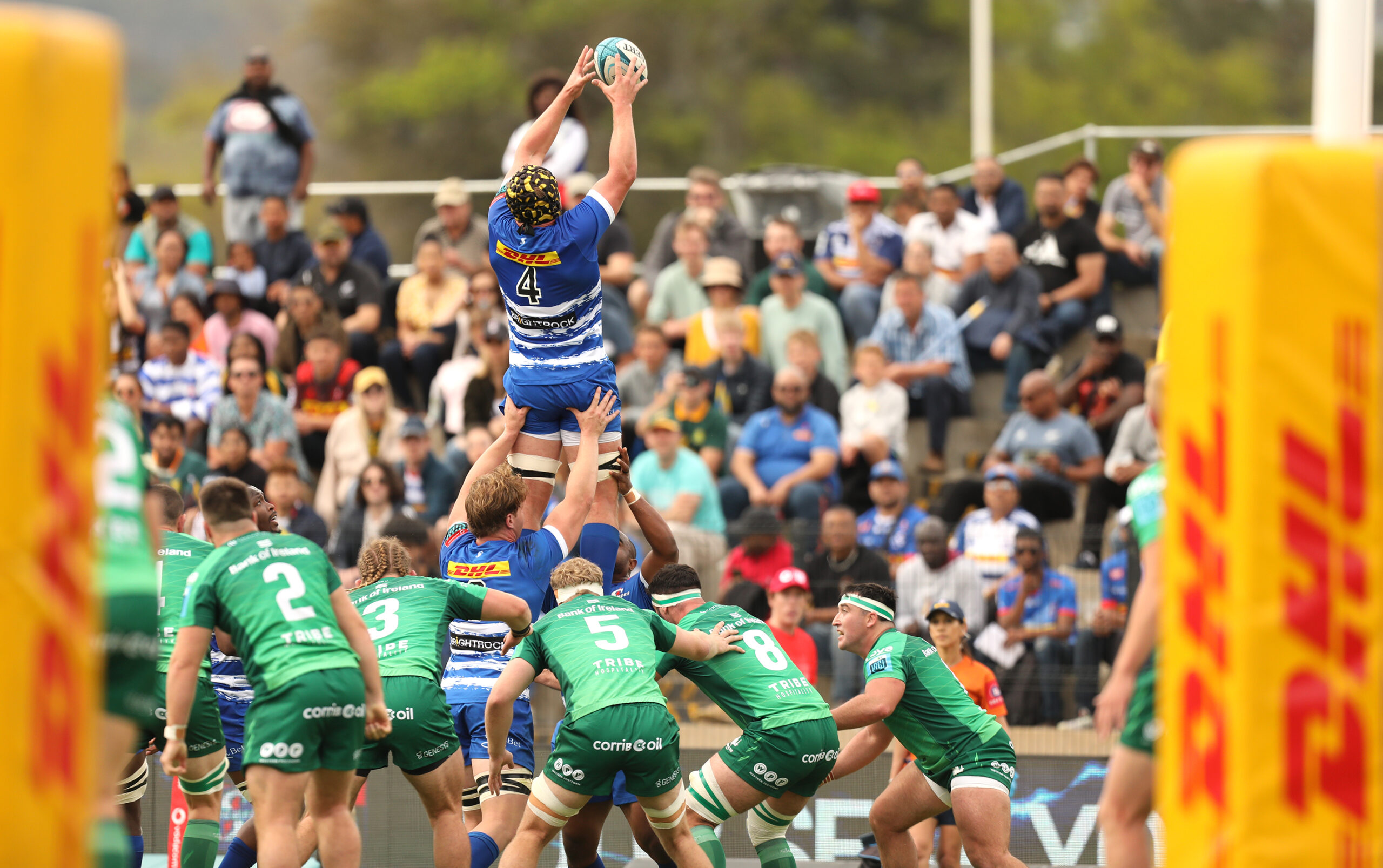 'Unique vibe' in Stellies for Van Rhyn | The Stormers