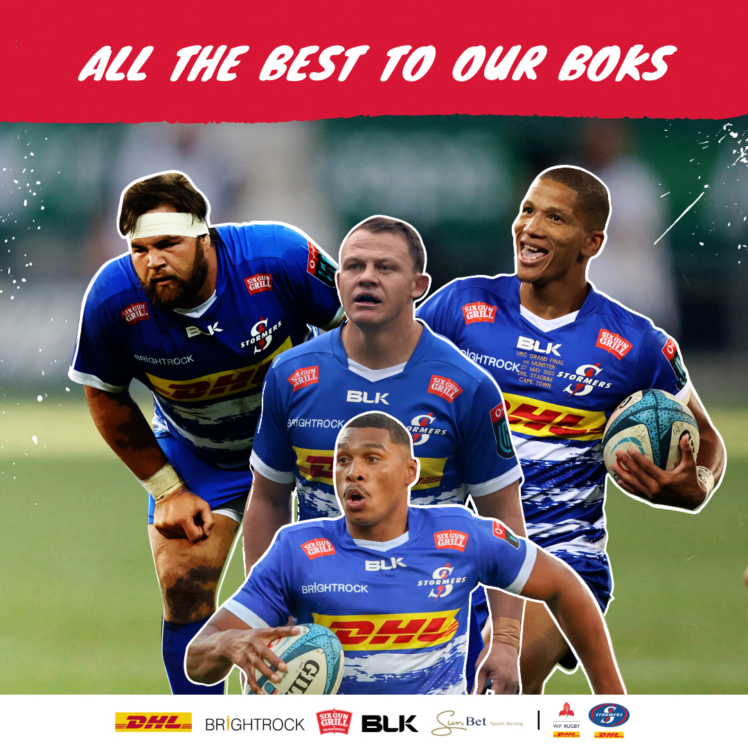 Four DHL Stormers in Bok RWC squad | The Official Website for the DHL Stormers