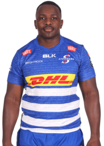 Meet the Stormers Rugby Team: Forwards, Backs & Management