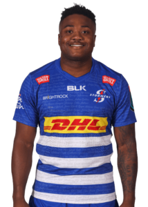 Meet the Stormers Rugby Team: Forwards, Backs & Management